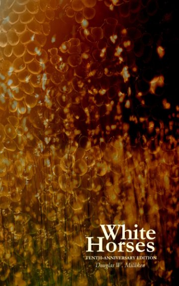 Books – Douglas W. Milliken